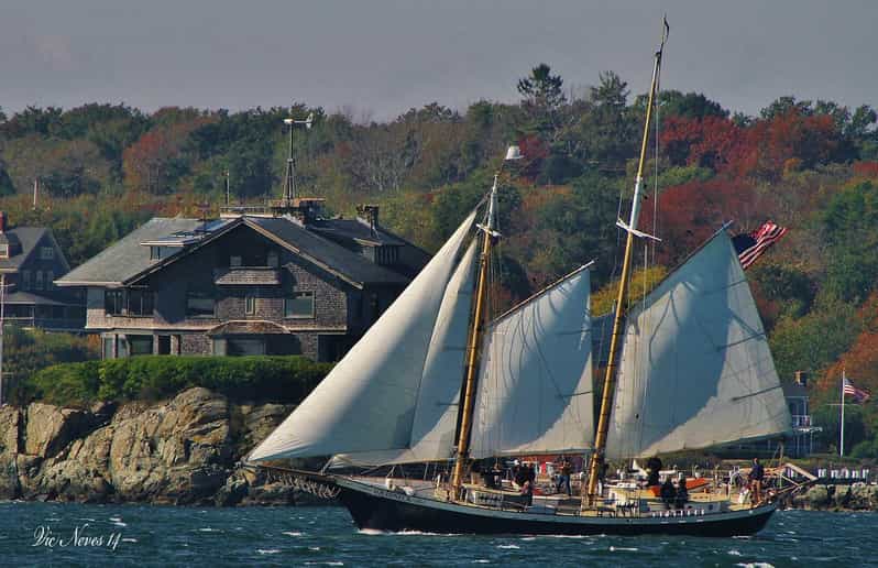 Newport: Morning Mimosa Sail aboard Schooner Aquidneck - Who Will Love This Tour?