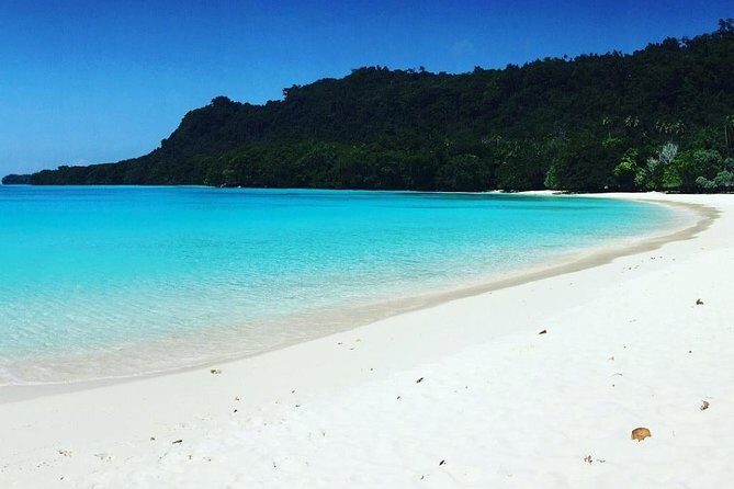Nguna Island Full Day Hike and Snorkeling Adventure from Port Vila Vanuatu - Who Will Love This Tour?