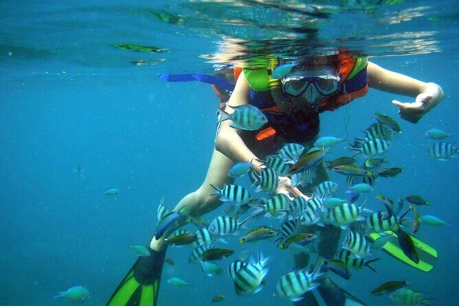 Nha Trang 3 Island VIP Tour - Who Should Consider This Tour?