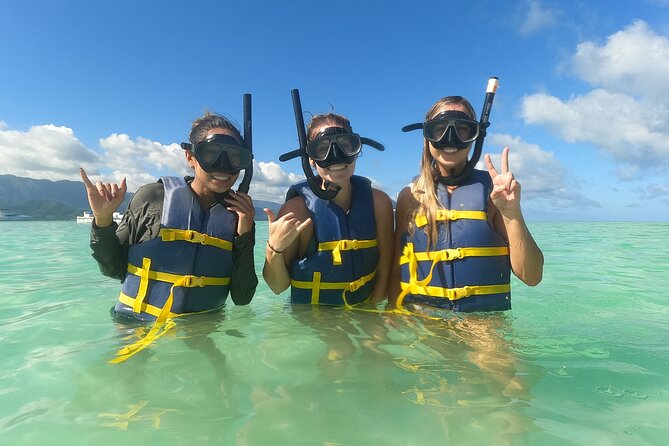 Nha Trang Bay: Explore Half-day Snorkeling at Mun Island - Practical Details & What You Can Expect