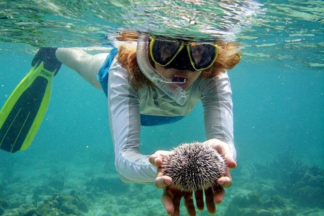 Nha Trang Bay: Explore Half-day Snorkeling at Mun Island - The Sum Up: The Value of Simplicity & Authenticity