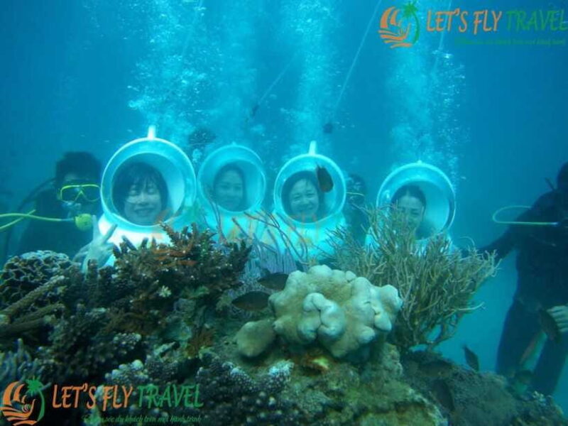 Nha Trang Beach Island Coral Diving, Sea Walking Group Tour - Authentic Experiences and Traveler Feedback