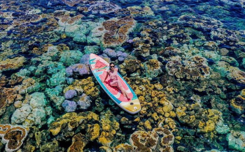 Nha Trang Beach Island Coral Diving, Sea Walking Group Tour - FAQ