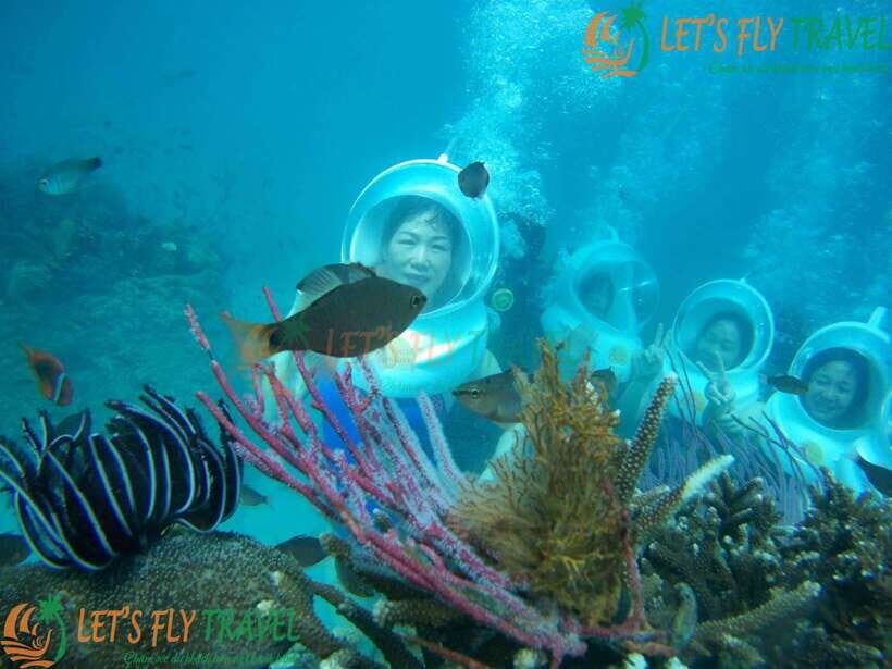 Nha Trang City Scuba Diving Adventure & Seaside Tour - FAQ