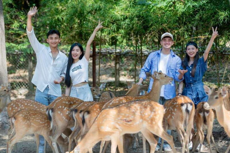 Nha Trang City Sightseeing Tour: Nha Phu Bay, Monkey Island - Who Should Consider This Tour?