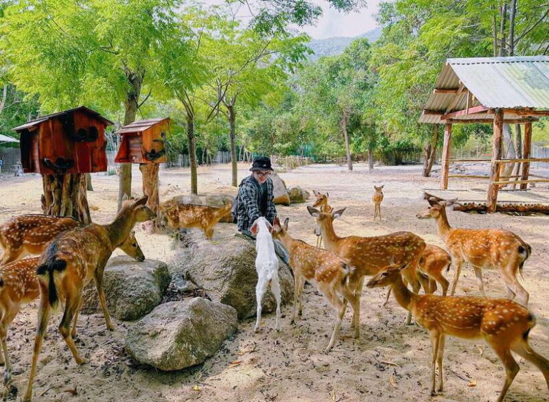 Nha Trang City Sightseeing Tour: Nha Phu Bay, Monkey Island - FAQ