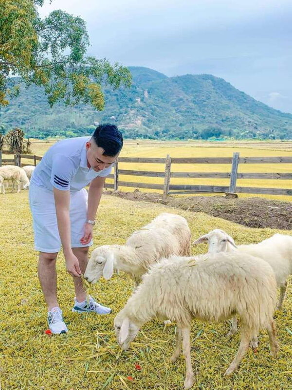 Nha Trang City Tour Hang Rai Coral Reef, Ninh Thuan Vineyard - Visiting the Ninh Thuan Vineyard