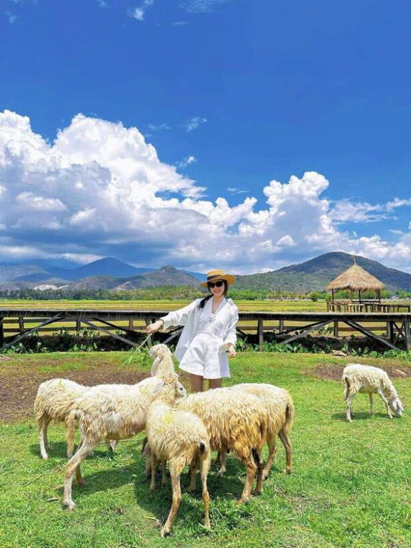 Nha Trang City Tour Hang Rai Coral Reef, Ninh Thuan Vineyard - Lunch at a Local Restaurant