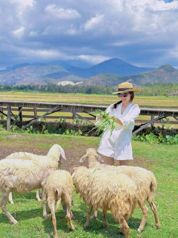 Nha Trang City Tour Hang Rai Coral Reef, Ninh Thuan Vineyard - Value and Overall Impression