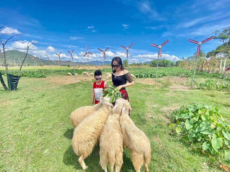 Nha Trang City Tour Hang Rai Coral Reef, Ninh Thuan Vineyard - FAQ