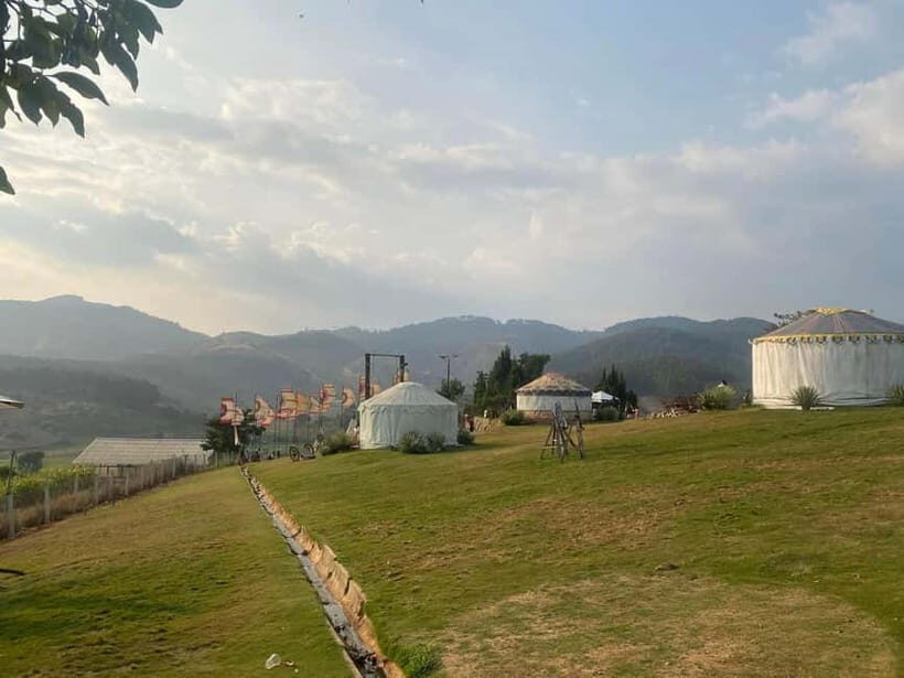 Nha Trang-Da Lat Day Trip: Explore Mongo & Donki Land - The Journey from Nha Trang to Da Lat