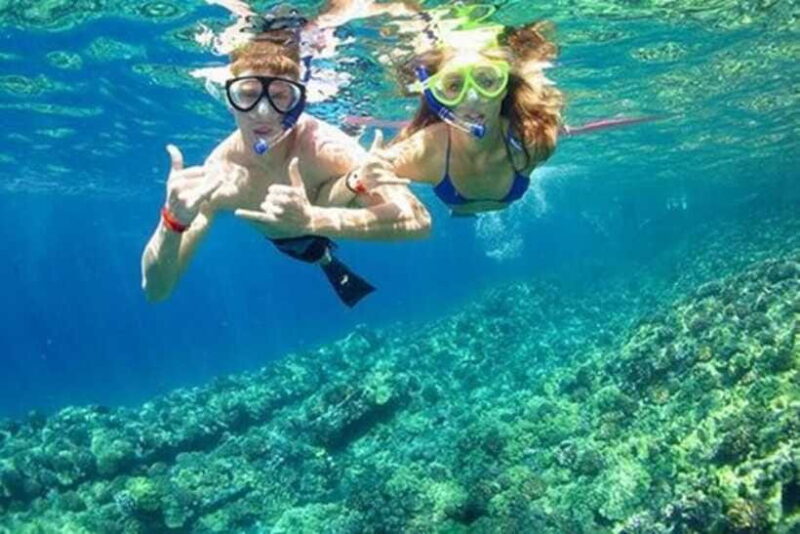 Nha Trang: Deluxe Ocean Tour With Snorkeling, BBQ & Mud Bath - Who Should Consider This Tour?