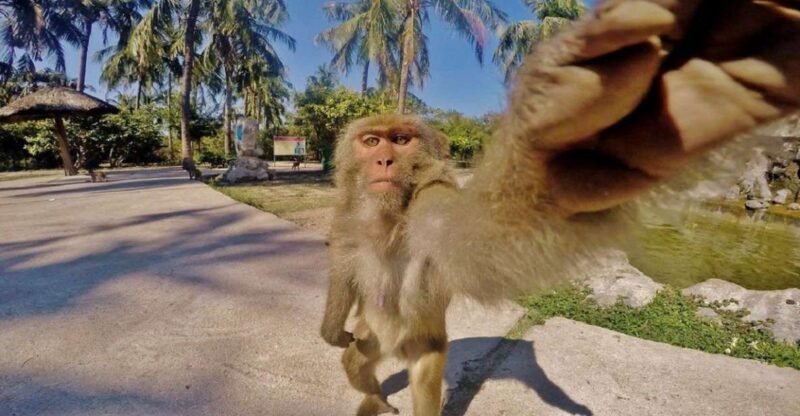 Nha Trang: Entry Ticket to Monkey Island - What Is Monkey Island?