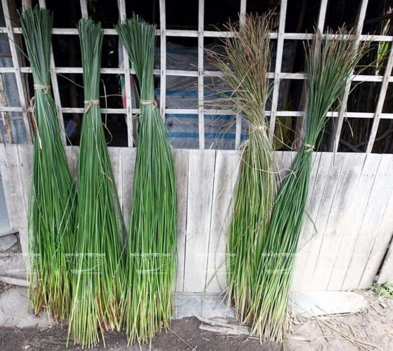 Nha Trang: Explored the daily life in countryside &waterfall - Price and Value for Money