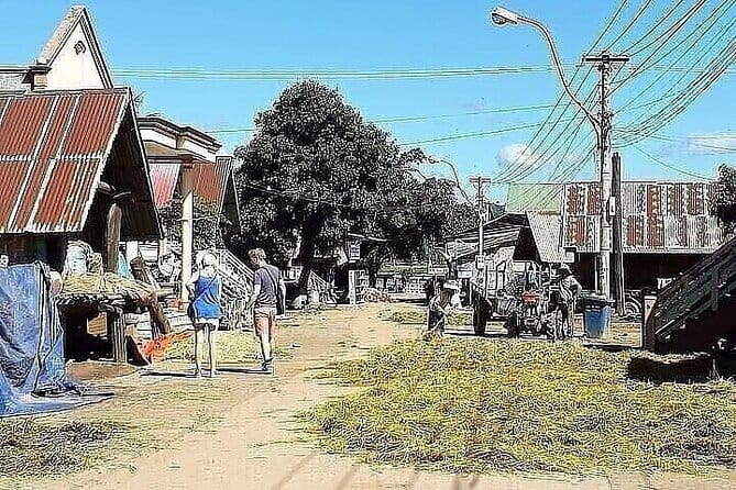 Nha Trang Exploring Tour To Da Lat - Rice Fields and Ethnic Minority Villages