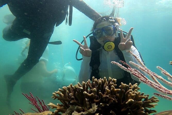 Nha Trang Exploring Tour To Da Lat - Pricing and Value