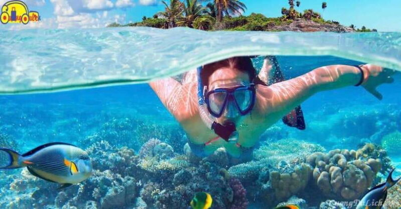 Nha Trang: Fantastic Tour w Snorkeling & BBQ at Mini Beach - Authentic Experiences and Real Traveler Feedback