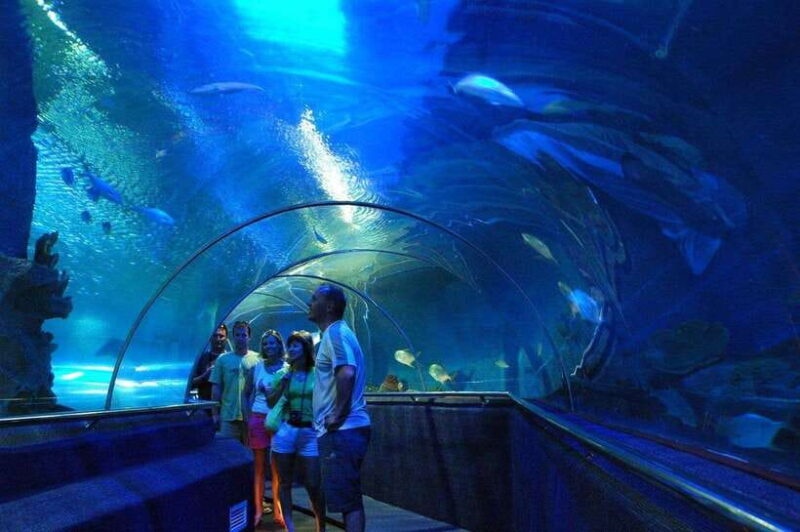 Nha Trang: Half-Day City Tour- Daily Tour - Final Thoughts