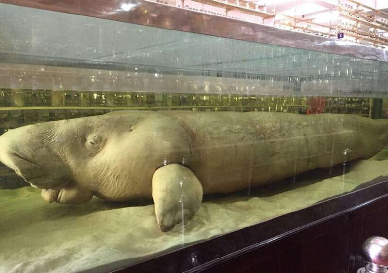 Nha Trang: Half-Day City Tour with Local Lunch - Transportation, Group Size, and Convenience