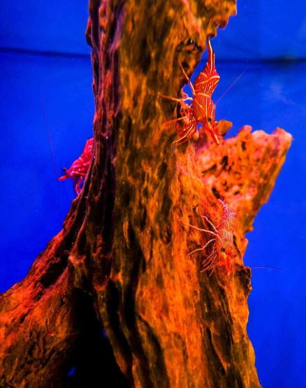 Nha Trang: Half-Day City Tour with Local Lunch - Why This Tour Works