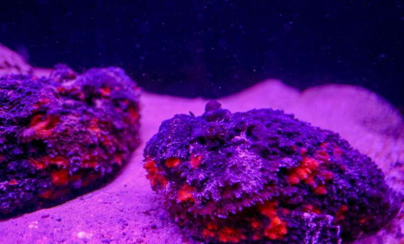 Nha Trang: Half-Day City Tour with Local Lunch - Who Will Benefit Most?