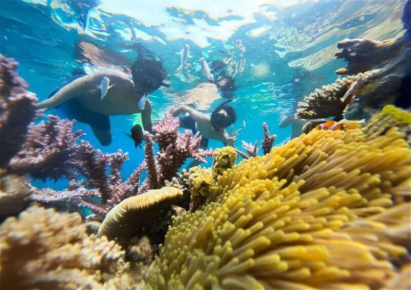 Nha Trang: Half-Day Snorkeling Adventure with BBQ Onboard - Key Points