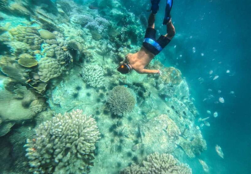 Nha Trang: Half-Day Snorkeling Adventure with BBQ Onboard - The Itinerary in Detail: What to Expect at Each Stop