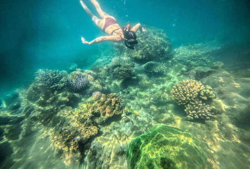 Nha Trang: Half-Day Snorkeling Adventure with BBQ Onboard - Final Thoughts