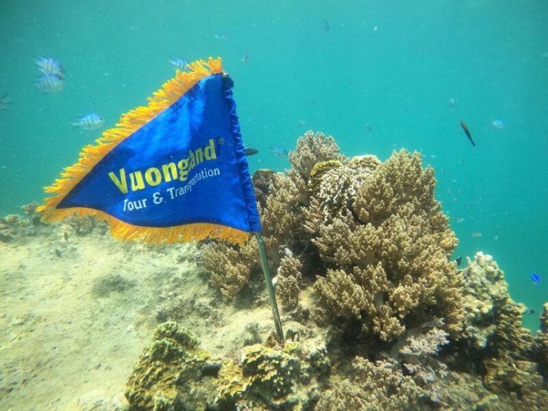 Nha Trang Half Day Snorkeling Trip - The Transport and Comfort