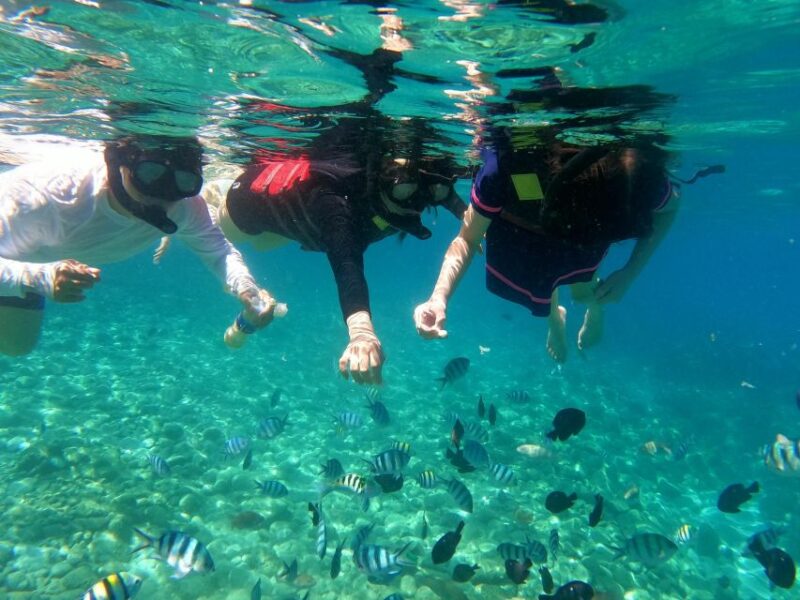 Nha Trang Half Day Snorkeling Trip - What Does the Price Cover?