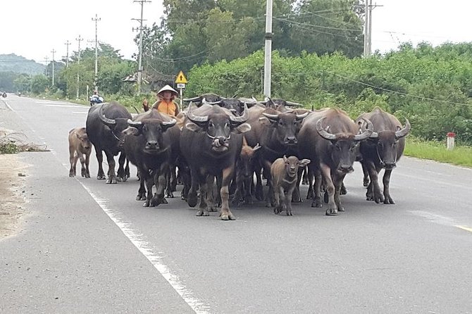 Nha trang Highlights - Practical Details & What to Expect