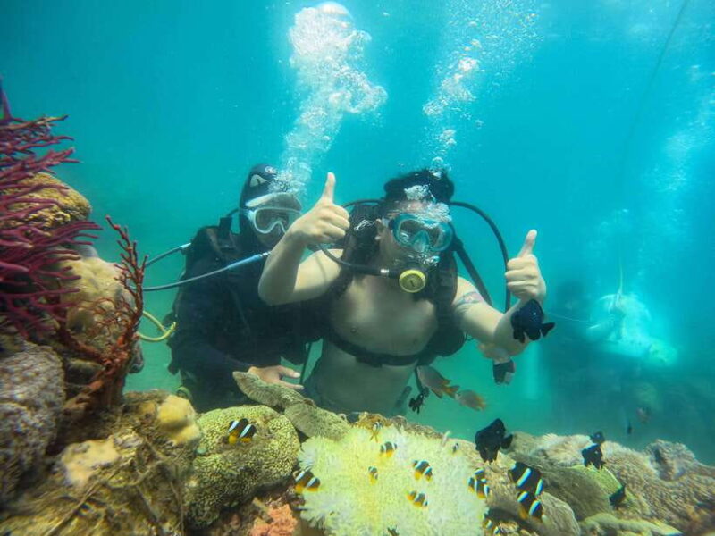 Nha Trang: Hon Mun Island Marine Park Snorkeling & Mud Bath - Practical Details and Considerations