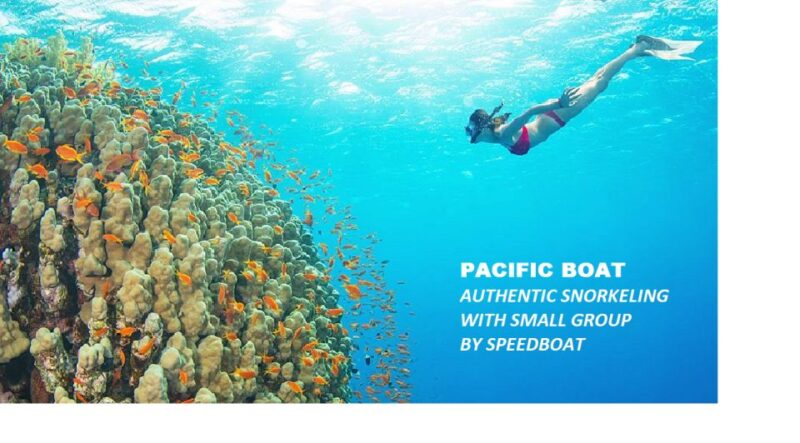 Nha Trang: Island-Hopping & Snorkeling Day Trip by Speedboat - Authentic Feedback and Perspectives