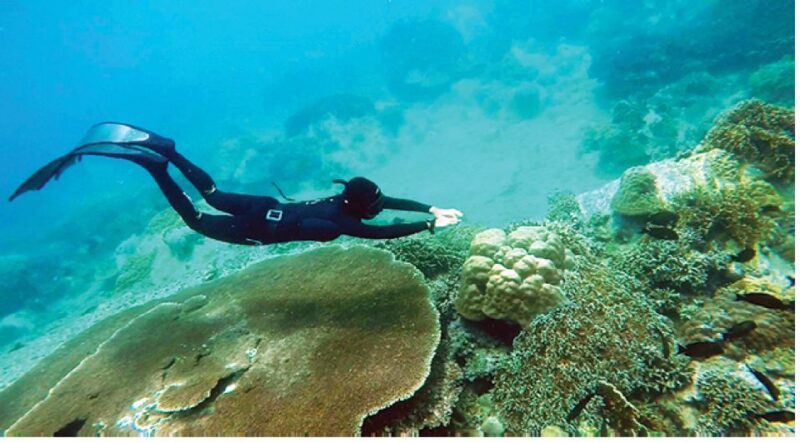 Nha Trang: Island-Hopping & Snorkeling Day Trip by Speedboat - The Value of This Tour