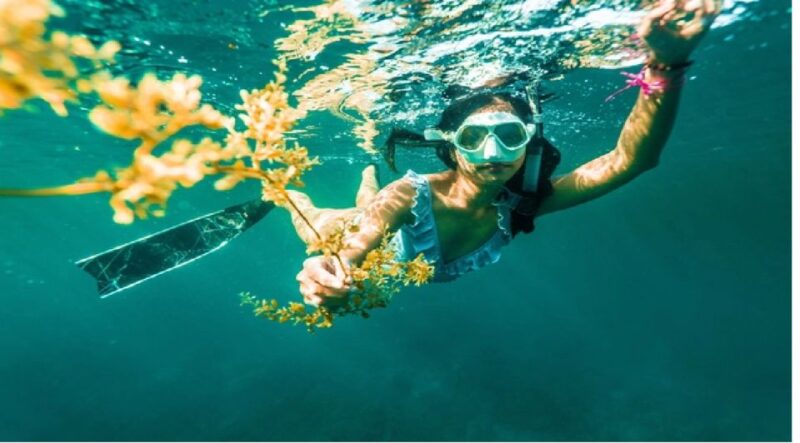 Nha Trang: Island-Hopping & Snorkeling Day Trip by Speedboat - Who Is This Tour Best For?