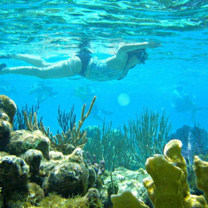 Nha Trang: Mun Island Snorkeling Adventure and BBQ Lunch - Frequently Asked Questions (FAQ)