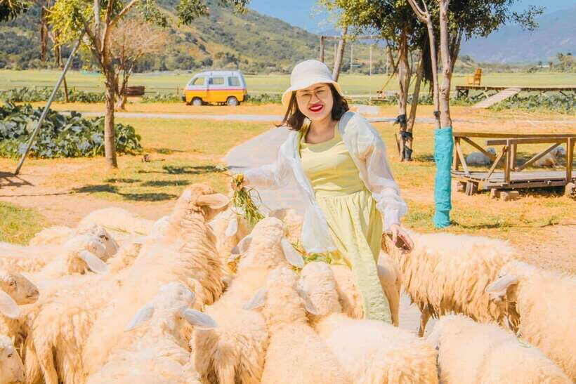 Nha Trang Ninh Thuan: Coral Coast, Grape Gardens, Suoi Tien - The Sum Up