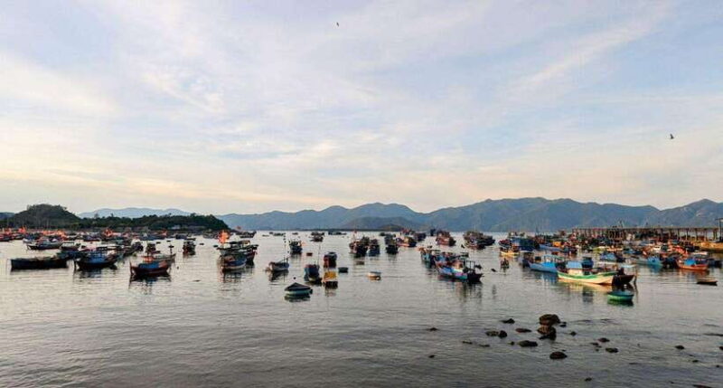 Nha Trang: Private City Tour and explore Marina Bay - Key Points