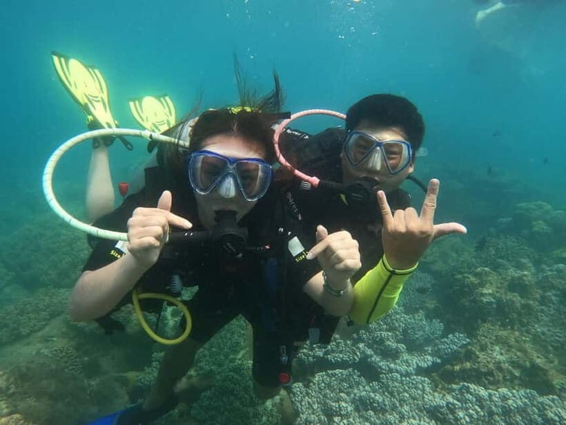Nha Trang: Private Scuba Diving Experience with Lunch - The Itinerary in Detail
