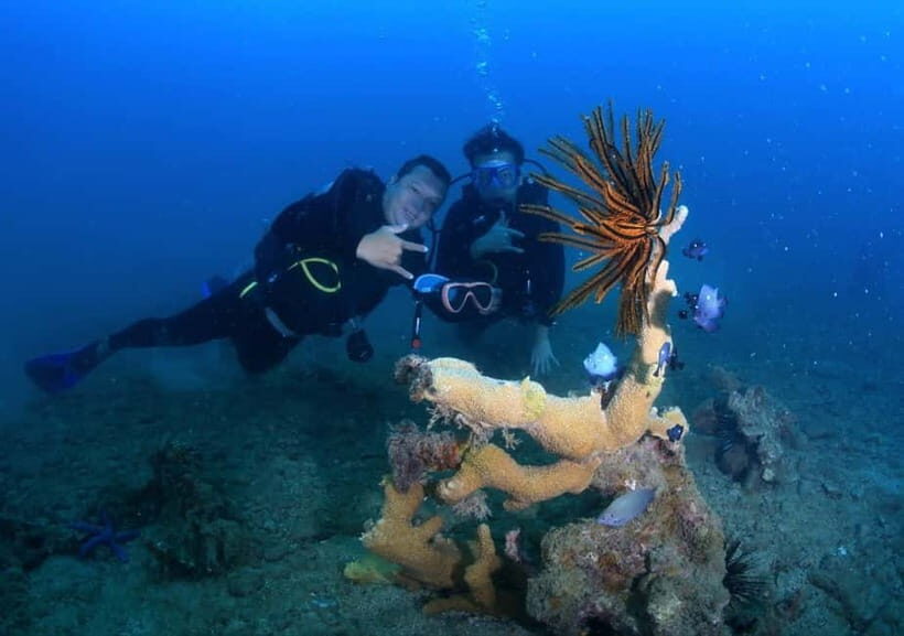 Nha Trang: Private Scuba Diving Experience with Lunch - Authentic Encounters and Real Feedback