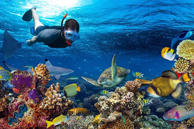 Nha Trang Private Tour To Mini Beach Included Lunch - Authentic Experiences and Real Guest Feedback