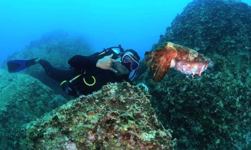 Nha Trang : Scuba diving experience for certified dive - An Authentic Look at the Nha Trang Scuba Tour