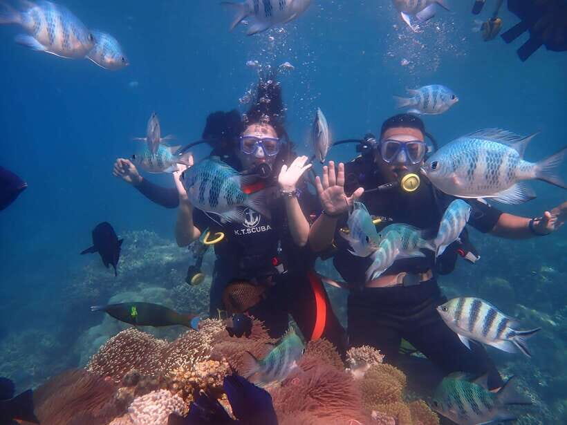 Nha Trang : Scuba diving experience for certified dive - In-Depth Breakdown of the Experience