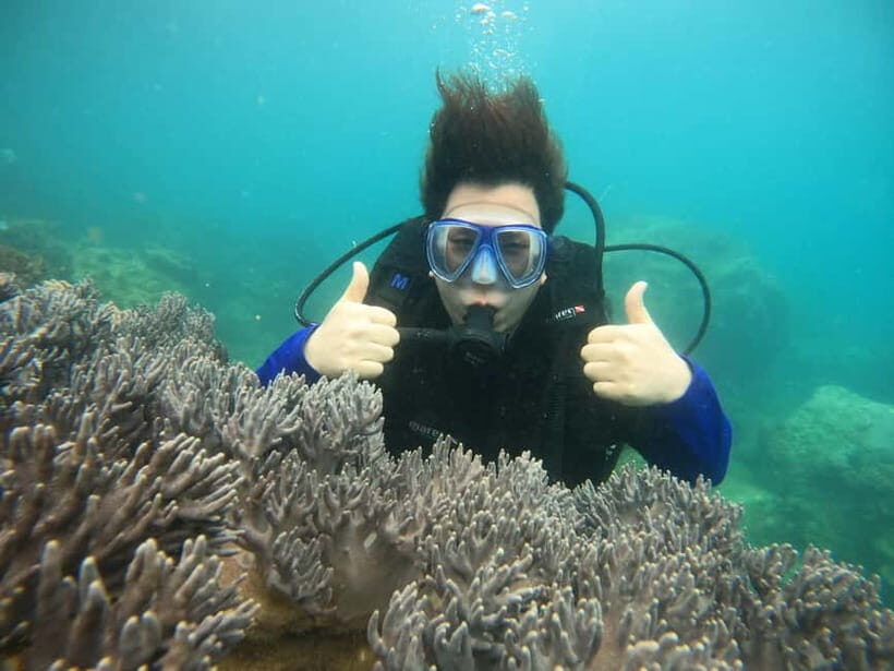 Nha Trang : Scuba diving experience for certified dive - FAQs