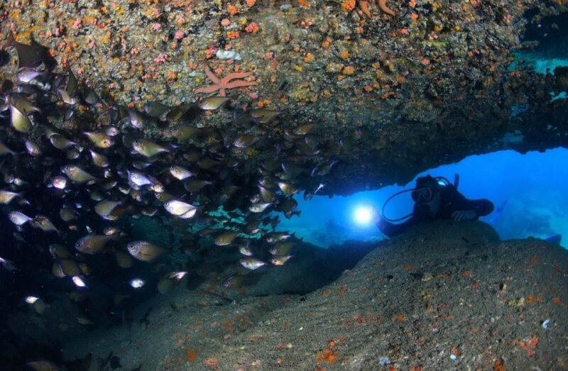 Nha Trang: Scuba Diving Experience for Non-Certified Divers - Final Thoughts