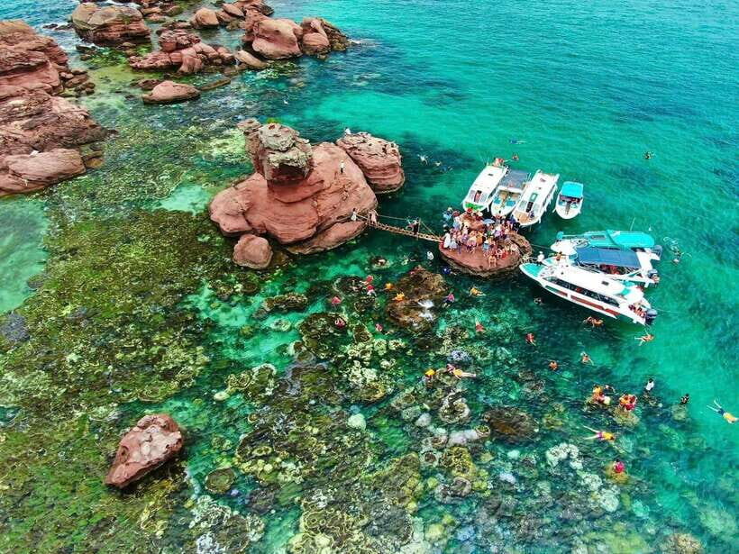 Nha Trang Scuba Diving Tour With Coral Reef & Luxury Lunch - A Close Look at the Itinerary and What Youll Experience