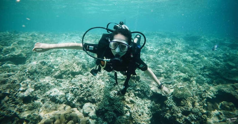 Nha Trang: Scuba Diving Tour with Lunch and Drinks - Why Choose This Tour?