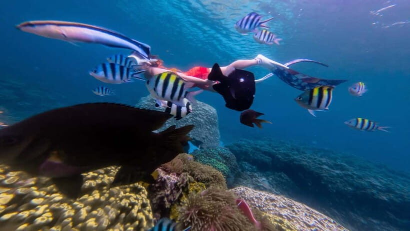 Nha Trang: Scuba Diving Tour with Lunch and Drinks - Canoe Ride to Coral Bay