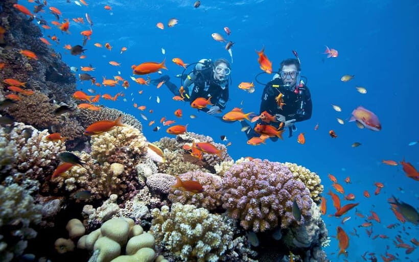 Nha Trang: Scuba Diving Tour with Lunch and Drinks - Free Time: Swim, Snorkel, or Relax