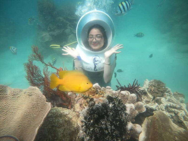 Nha Trang: Sea Walking To Discover Coral Reef - Key Points